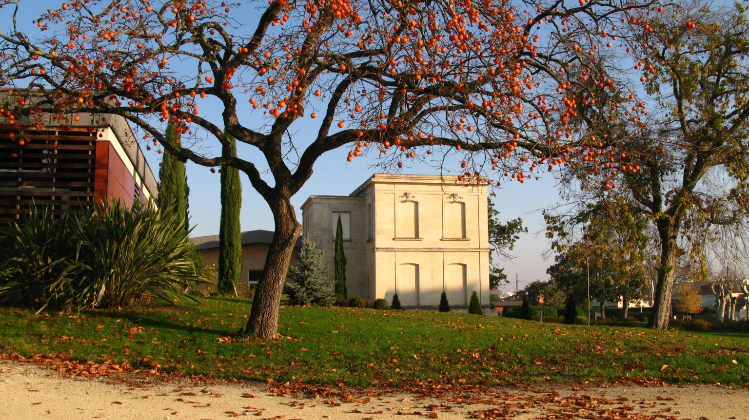 Château Luchey-Halde - Bordeaux Class Wine